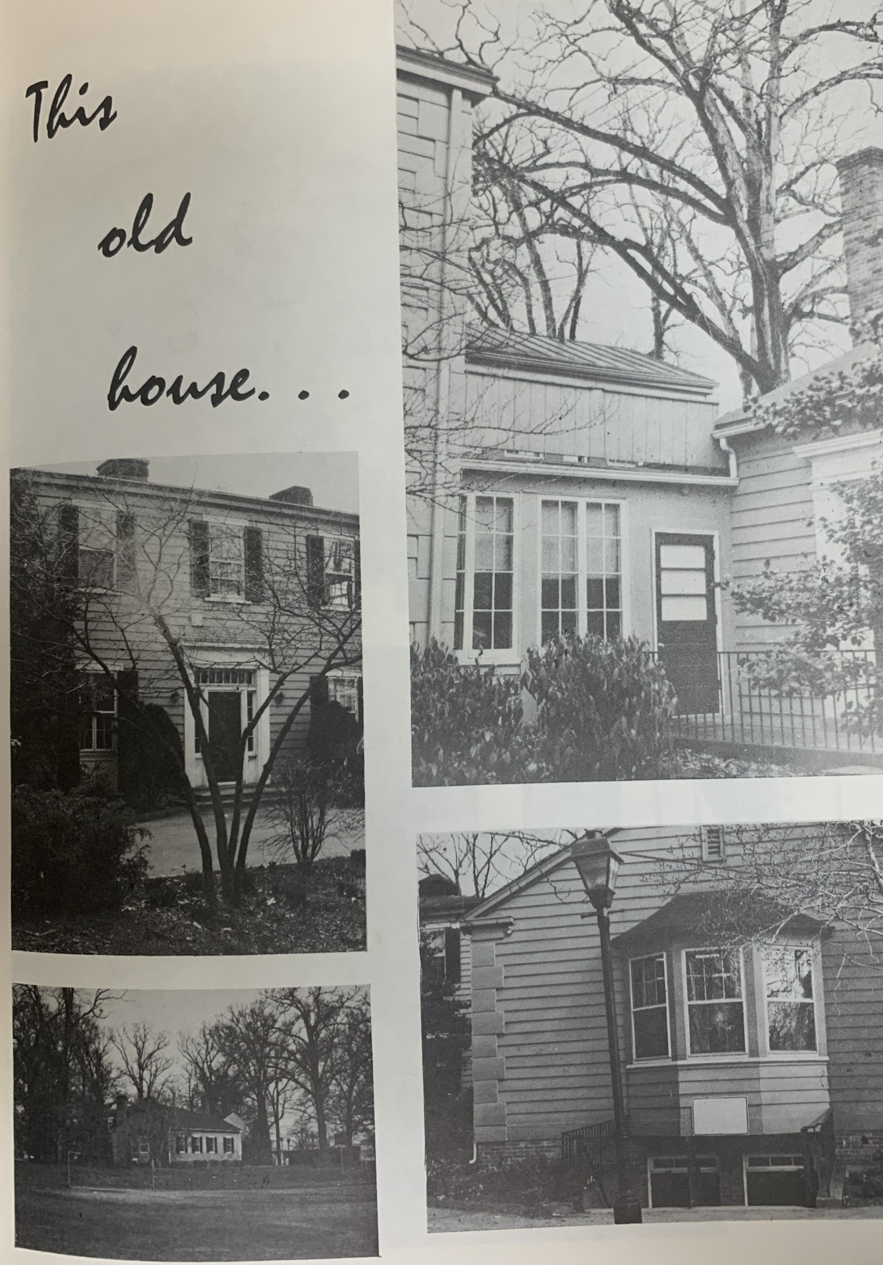 50th Anniversary - Chelsea School